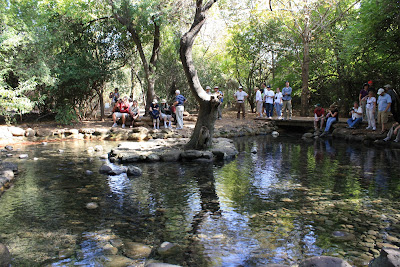 Ziggy's Adventures: Tel Dan