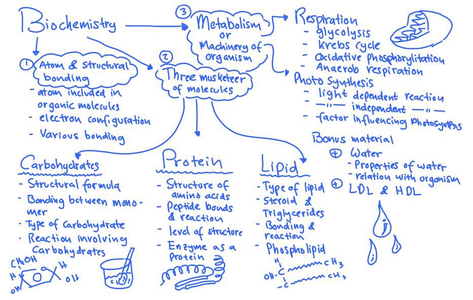 Pengertian Mind Mapping