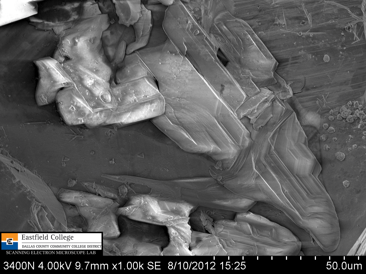Scanning Electron Microscope Blog: Geology on a small scale
