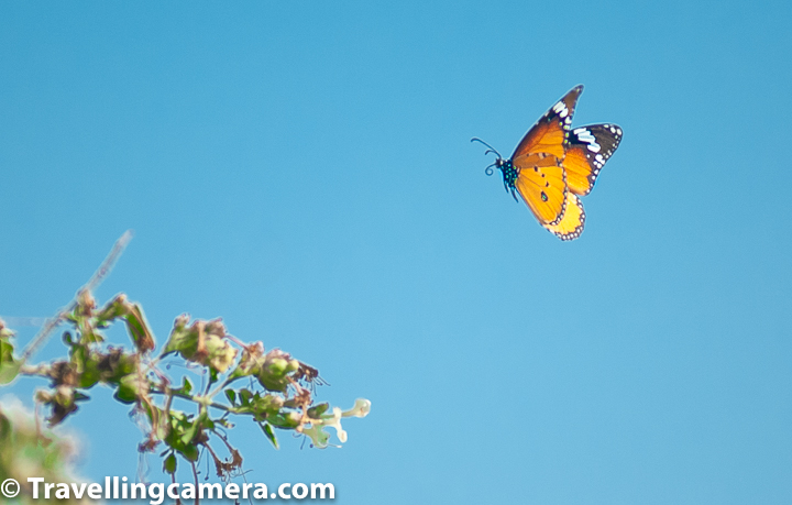Simplicity and Minimalism - An Awesome Photography Composition Rules ...