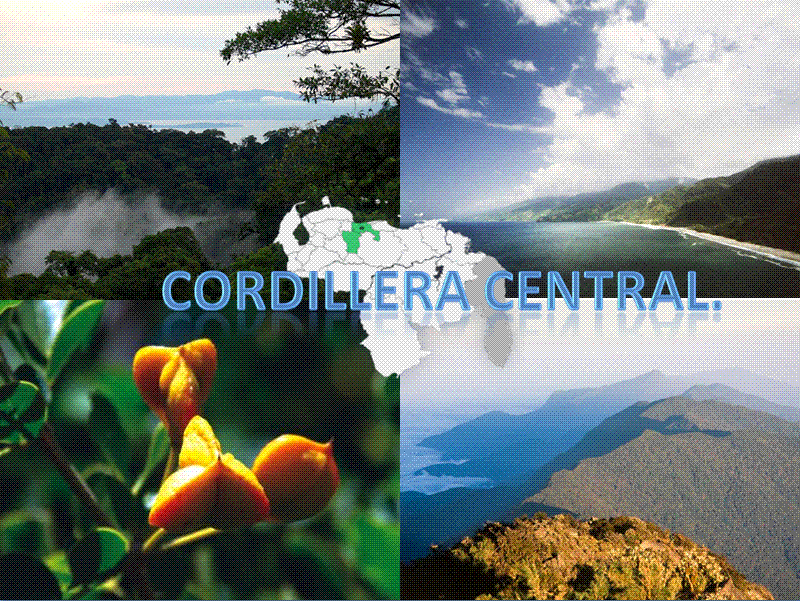 Ecorregiones de Venezuela.: Cordillera Central: