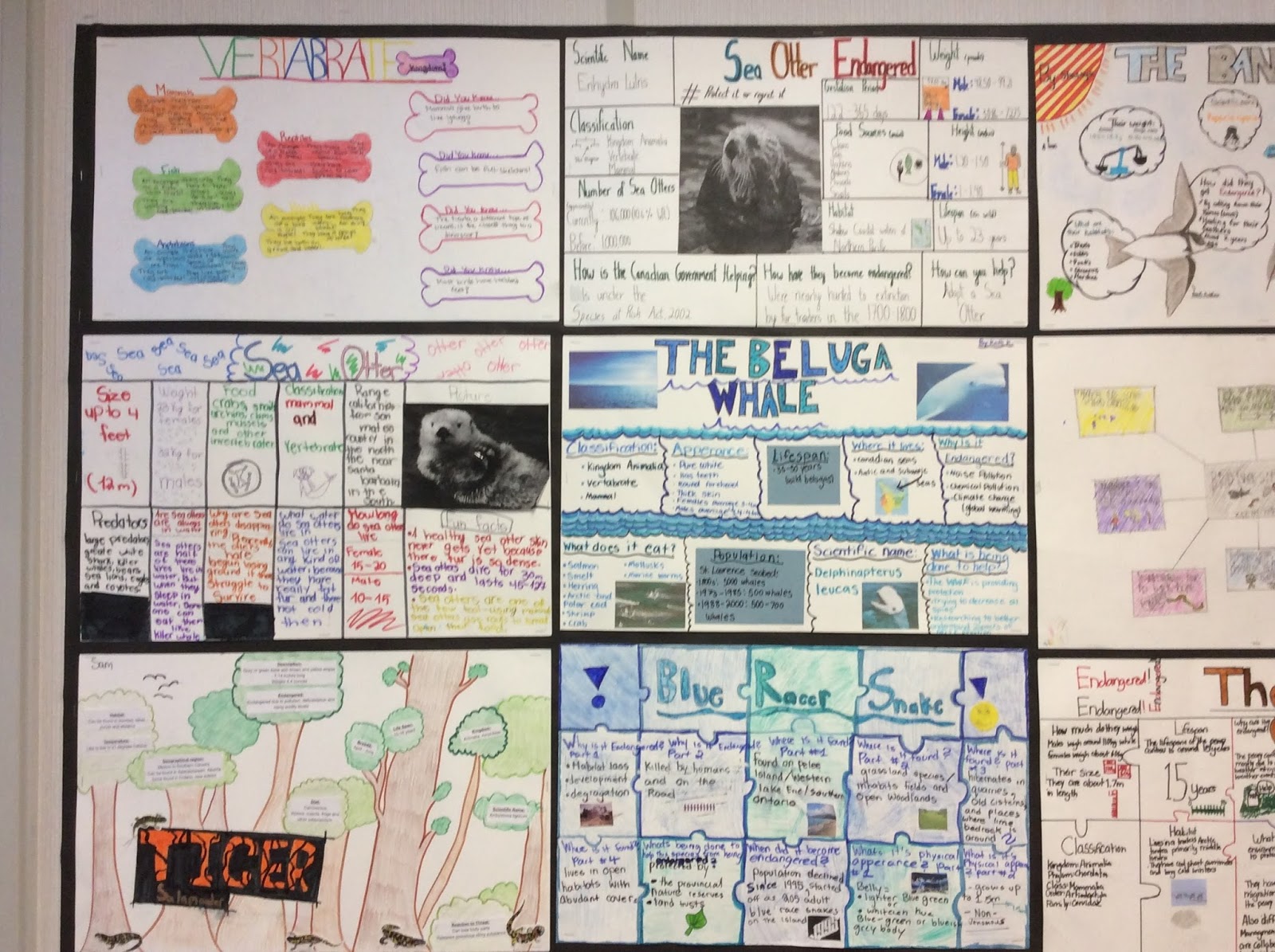 The Thornhill Woods Blog: Gr. 6 Infographics