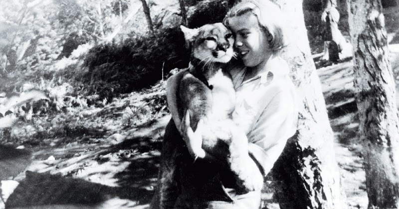 In Search of Slumach: Jack Mould revisited