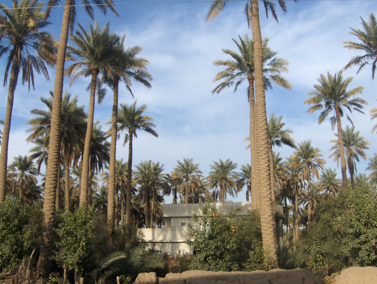 Al-Tarmiyah - مدونة الطارمية