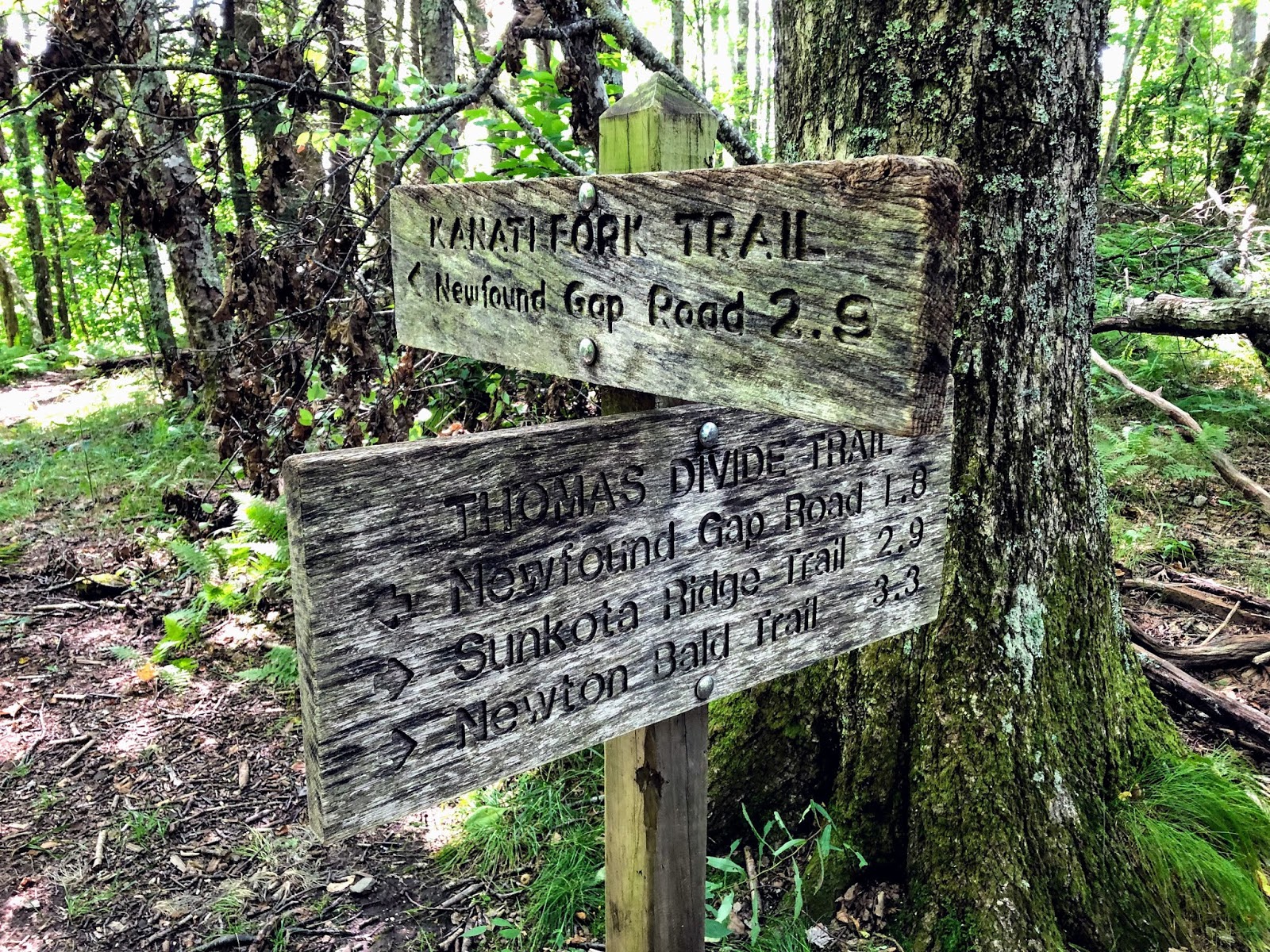 900 miles: Kanati Fork - Thomas Divide Trails