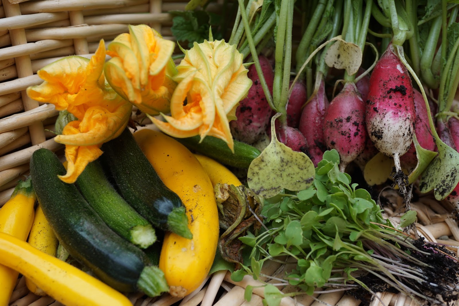 Gathering Around The Grill