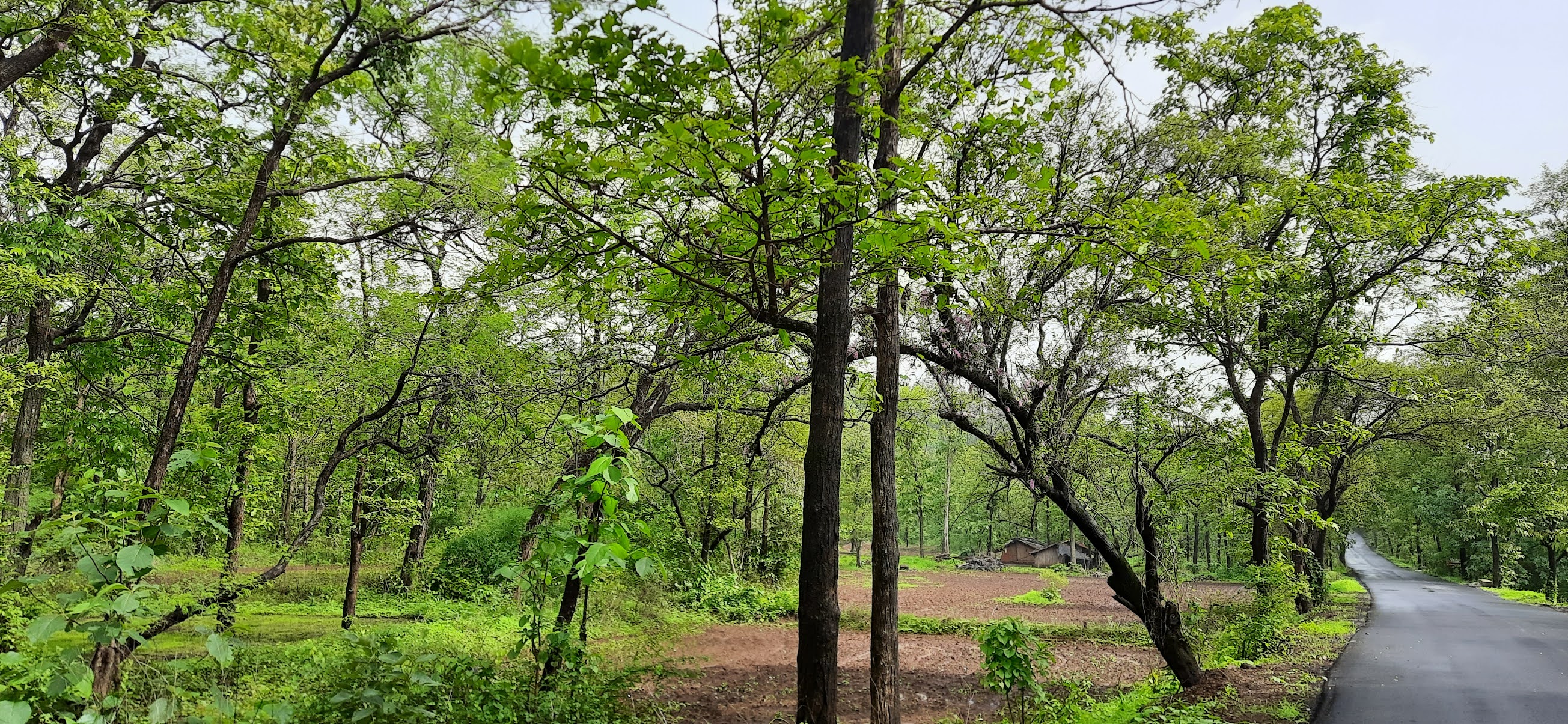 Sharad Pandhare's Educational Blog: Incredible Nature