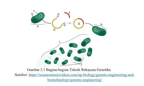 Bioteknologi SMP - GURU SUMEDANG