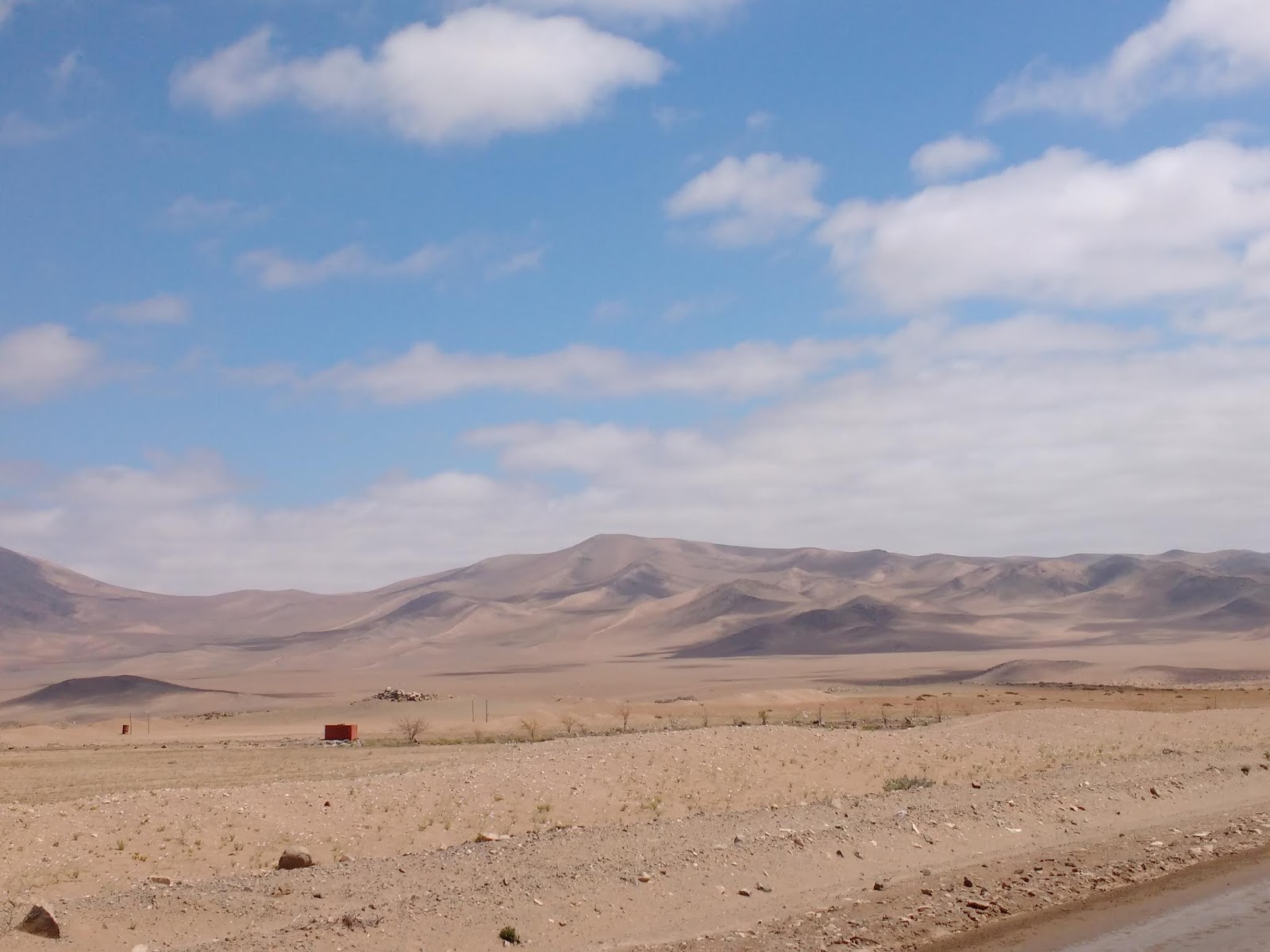 Curioseandando: 2019