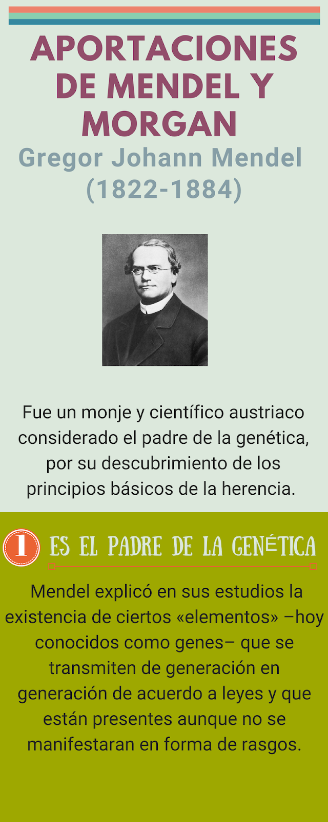 BIOLOGIA II: INFOGRAFIA DE MENDEL Y MORGAN