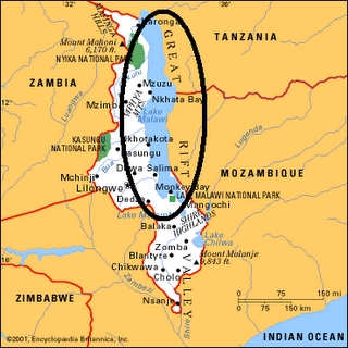 Pe aripi de Fluture...: Poveste - The Great Rift Valley