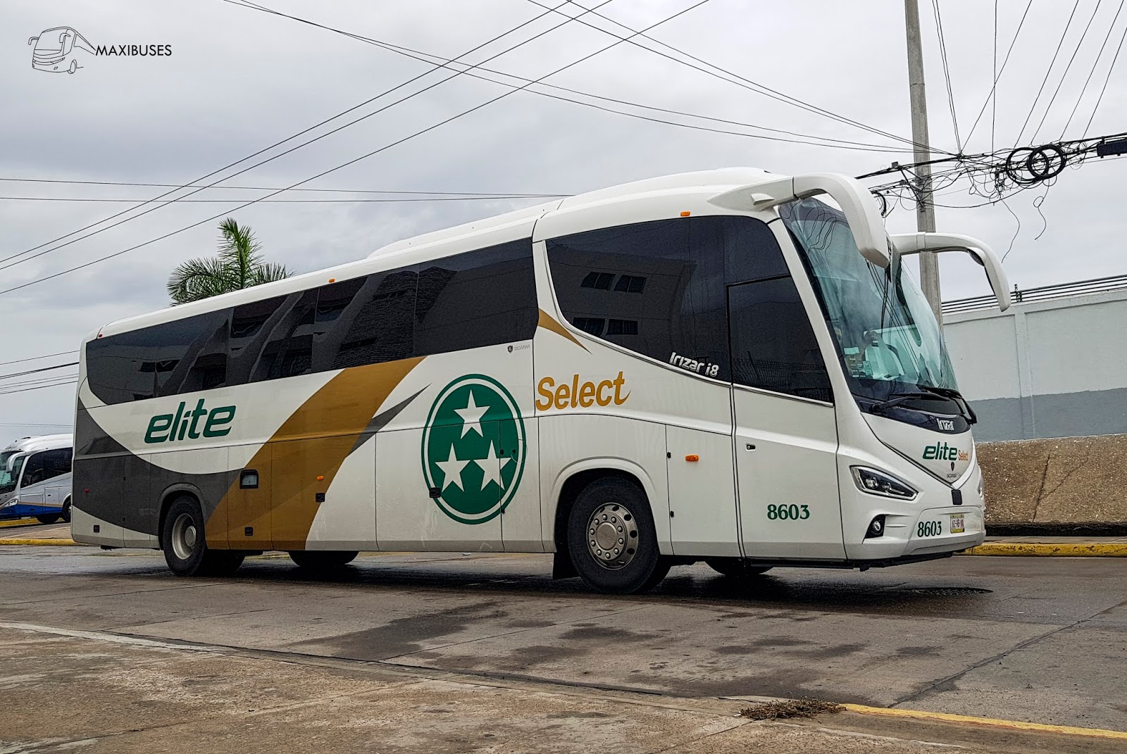 MAXIBUSES: ELITE SELECT