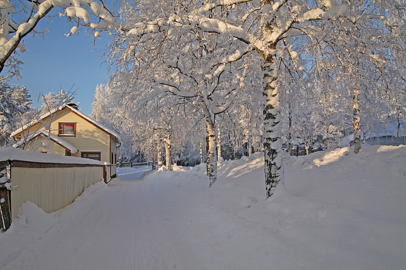 Nurmes ja Puu-Nurmes