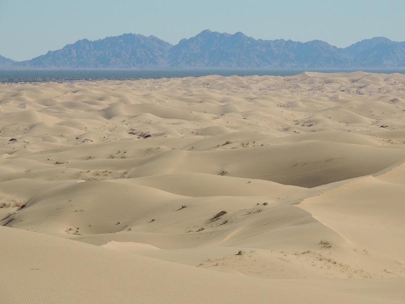mnkcusa: Yuma AZ, Imperial Sand Dunes