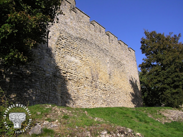 LA FRANCE MEDIEVALE: SAINT-QUENTIN-FALLAVIER (38) - Le château de Fallavier