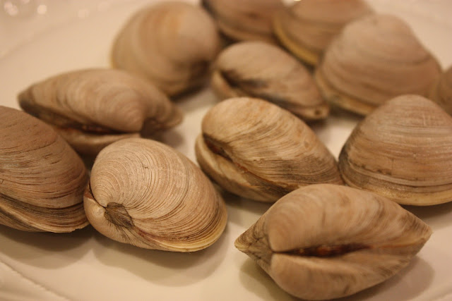 The Best Thing About New England Clam Chowder is.... • We Blog The World