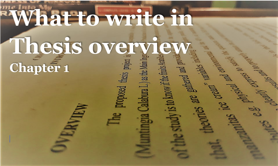 What to write in Thesis overview