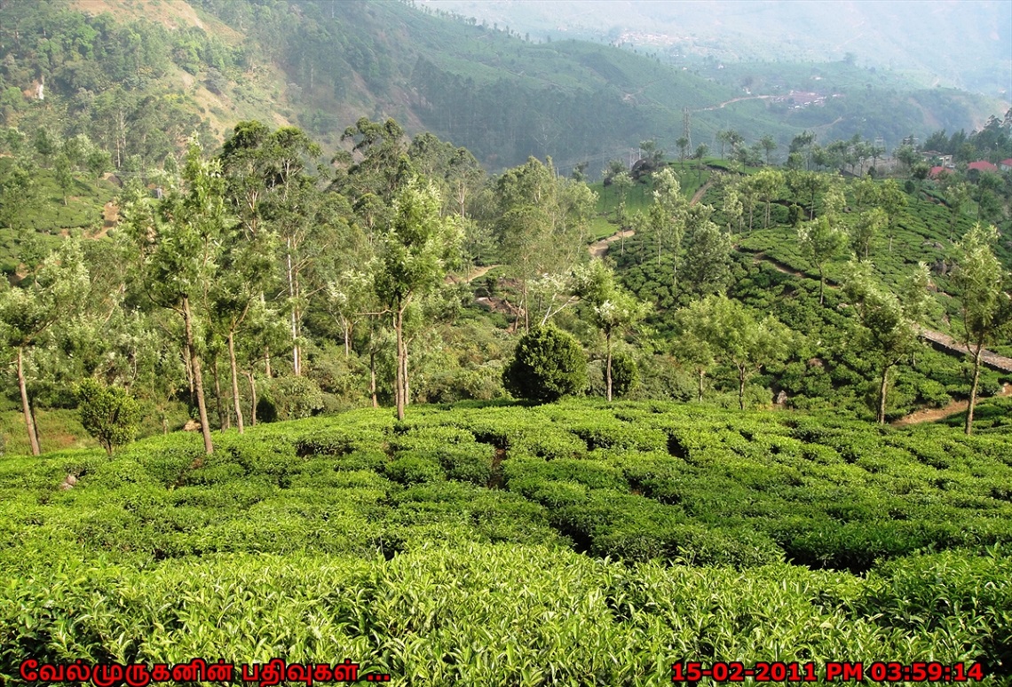 Munnar - Exploring My Life