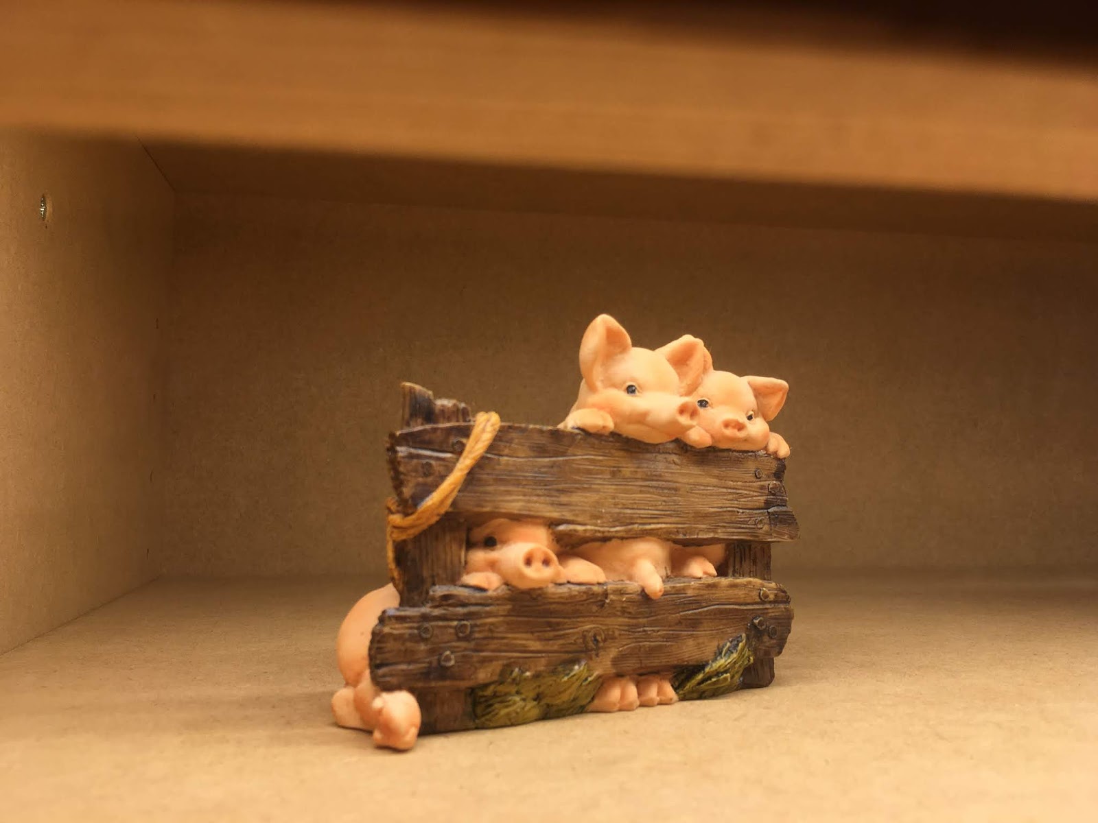 31,000 Steps To See A Pig