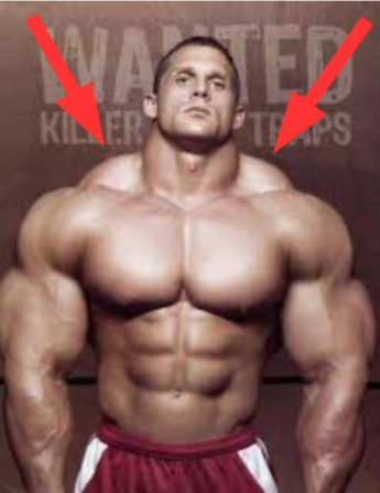 BODYBUILDING's TIPS: HOW TO BUILD BIGGER TRAPS
