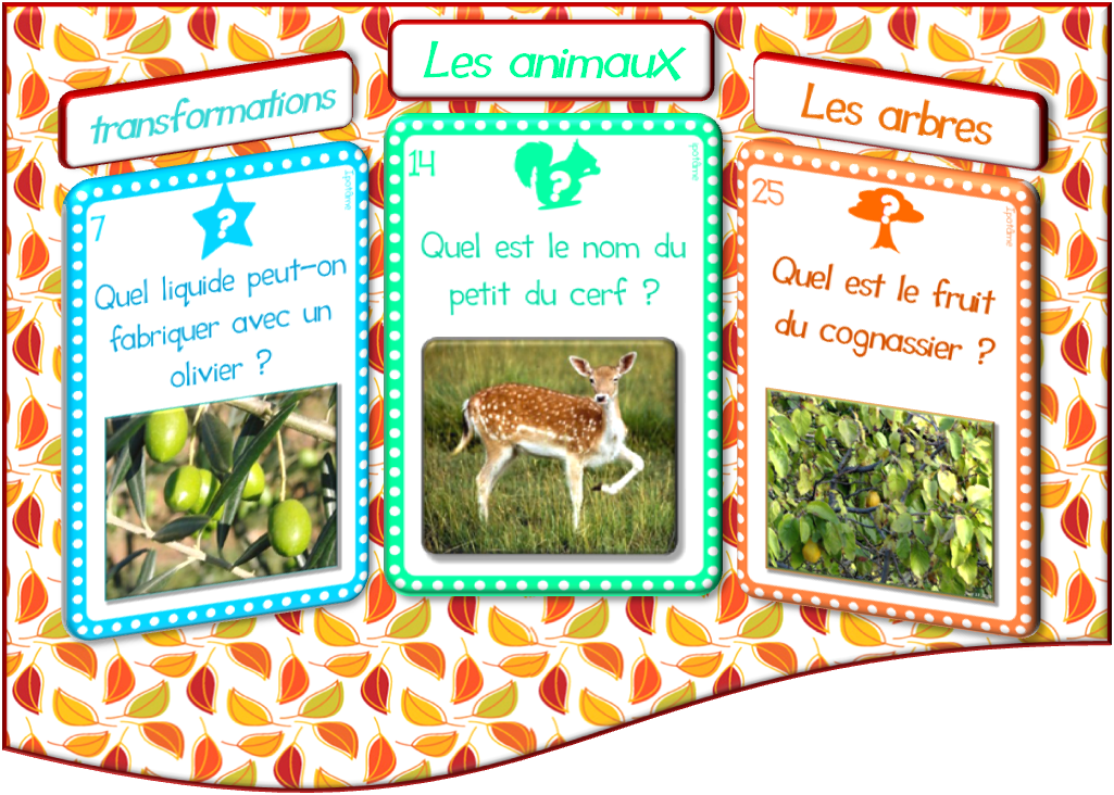 IPOTÂME ....TÂME: forêt