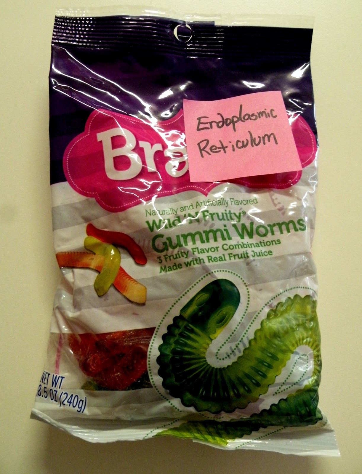 The Fantastic Five: Jello Animal Cell