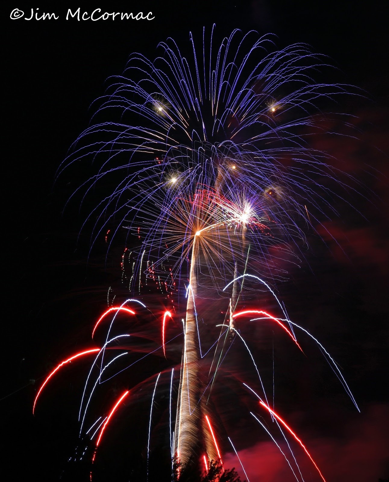 Ohio Birds and Biodiversity: Fireworks as Art
