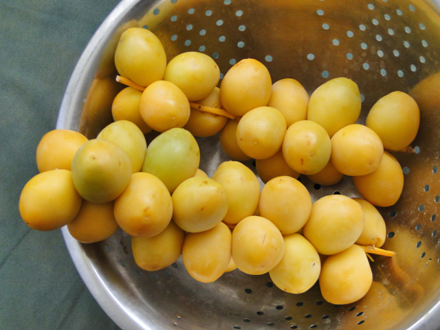 Koken en zo. Echt koken.: Brandnetelsoep