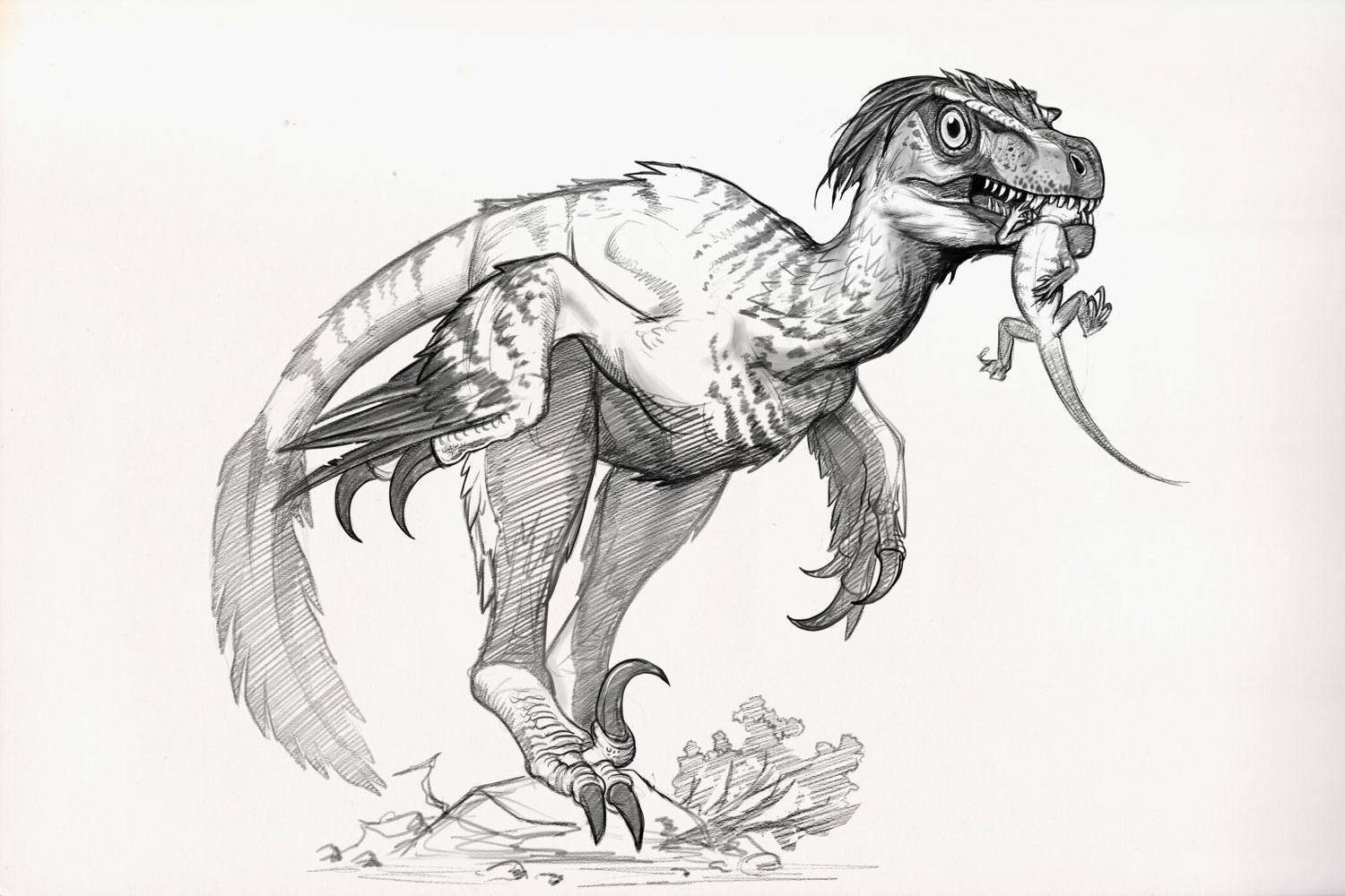 Raul Ramos Paleo Illustration: Draw Dinovember Day 1 Velociraptor