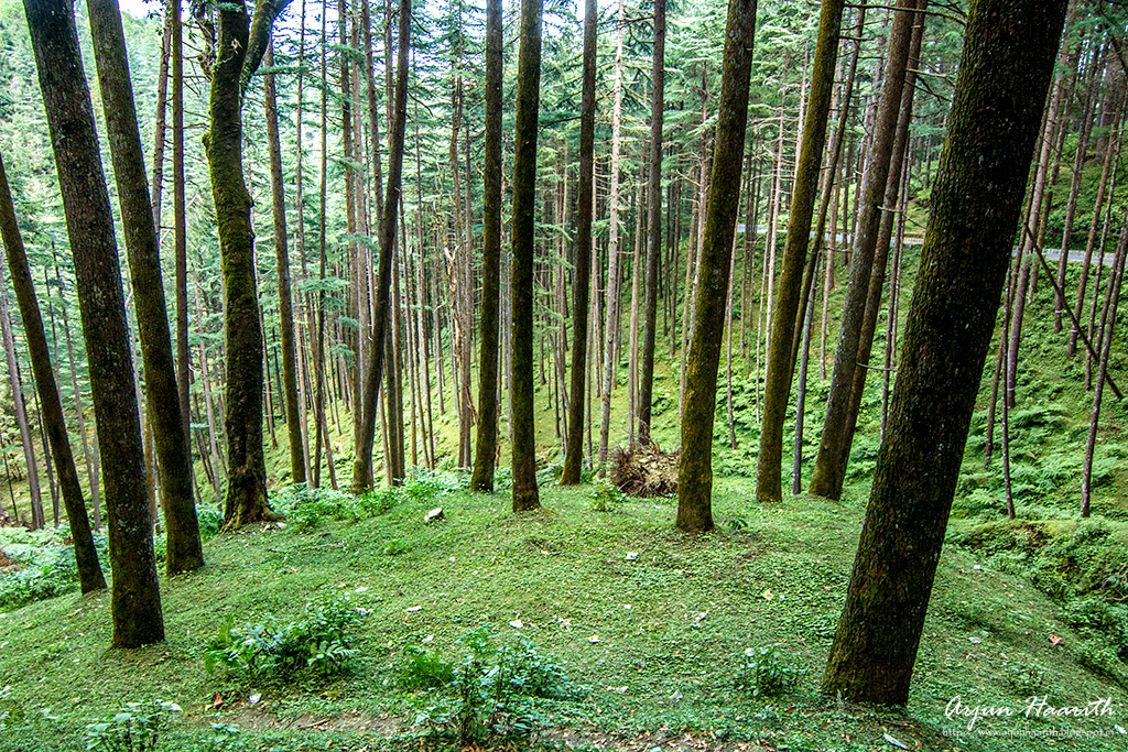 Arjun Haarith: A sojourn in the Kumaon and Garhwal Himalayas : Divine ...