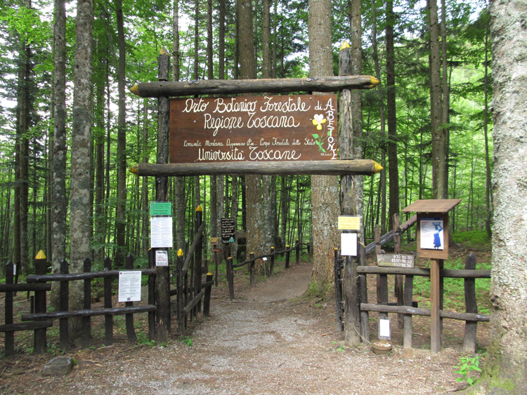 Escursionismo a 360°: Alpe Tre Potenze e Gomito (per il Lago del Greppo) EE