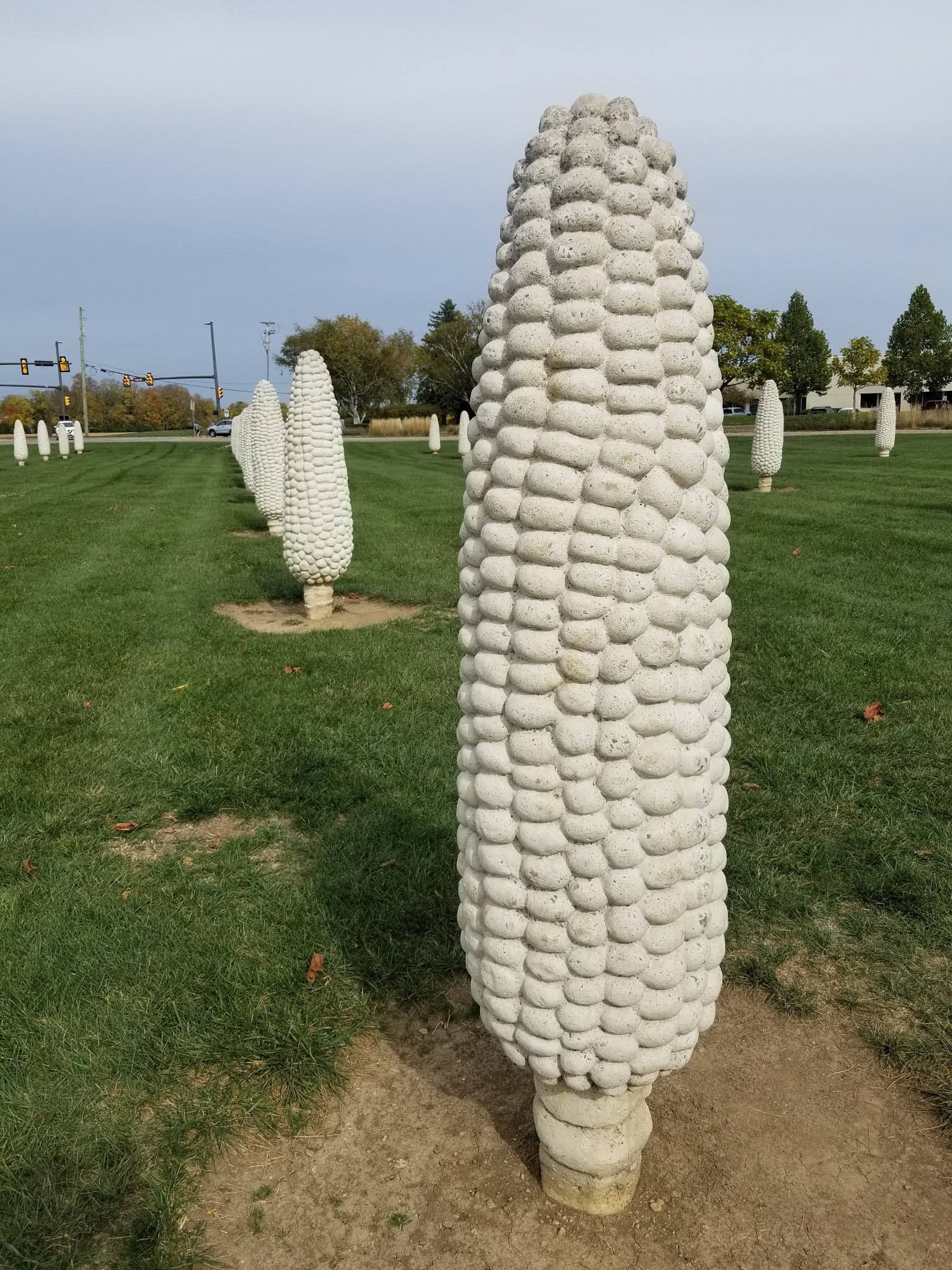 Wide Open Bytes: BnC Road Trip 2020 Day Fourteen