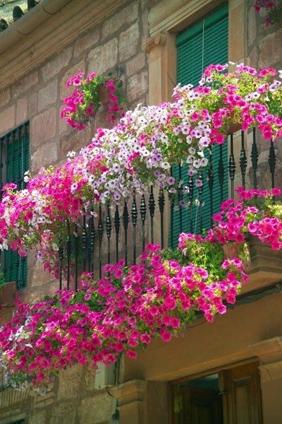 13 balcons fleuris les uns plus beaux que les autres d’où s’inspirer ...