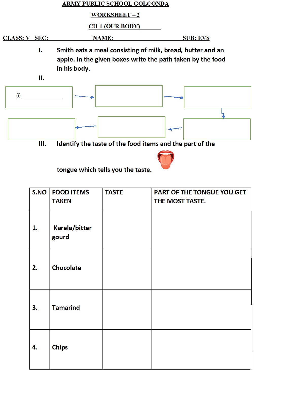 Functions Of The Brain For Class IV Functions Of The Brain For Class IV