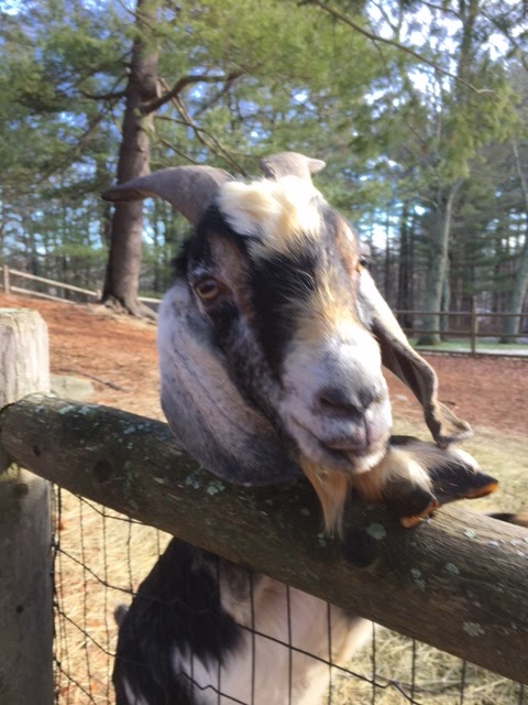 Dispatch from the Digital Health Frontier: Building Unity Farm ...