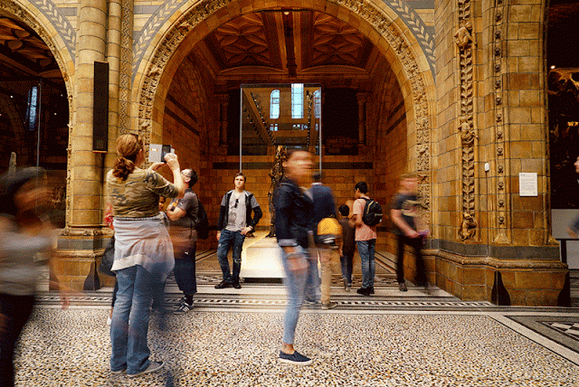 Happening London: The Natural History Museum in GIFs