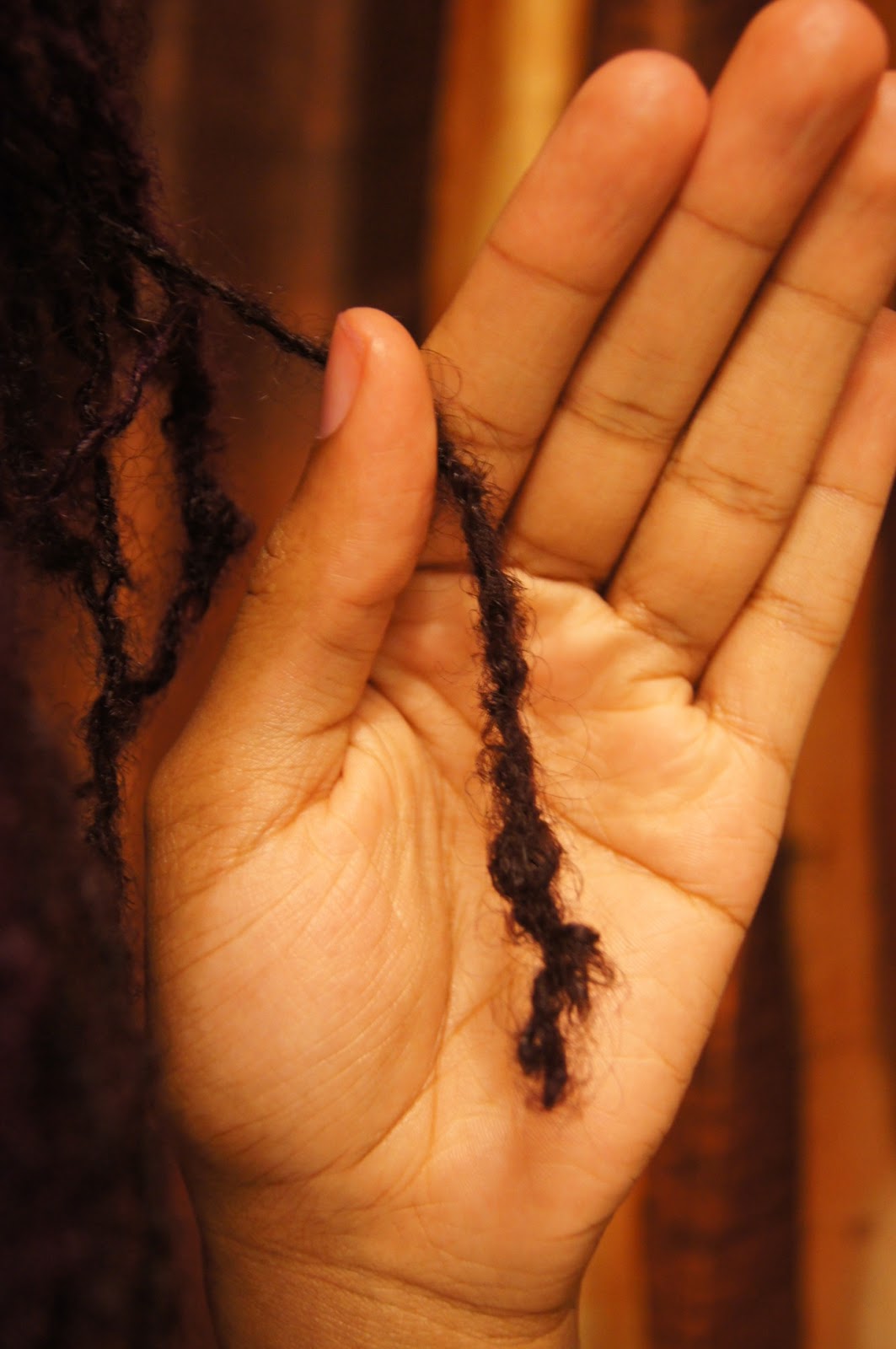 My Perfectly Imperfect Sisterlocks | The Digital Loctician