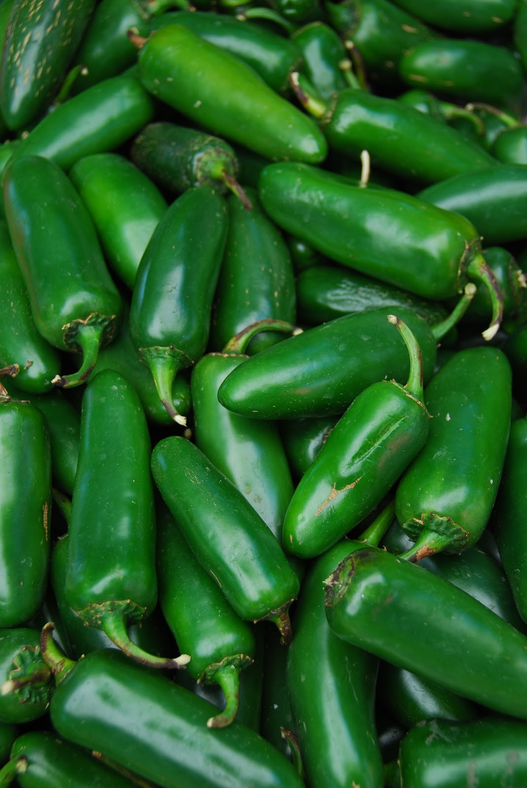 gustidude: Chipotle Chiles -- All One Needs to Know