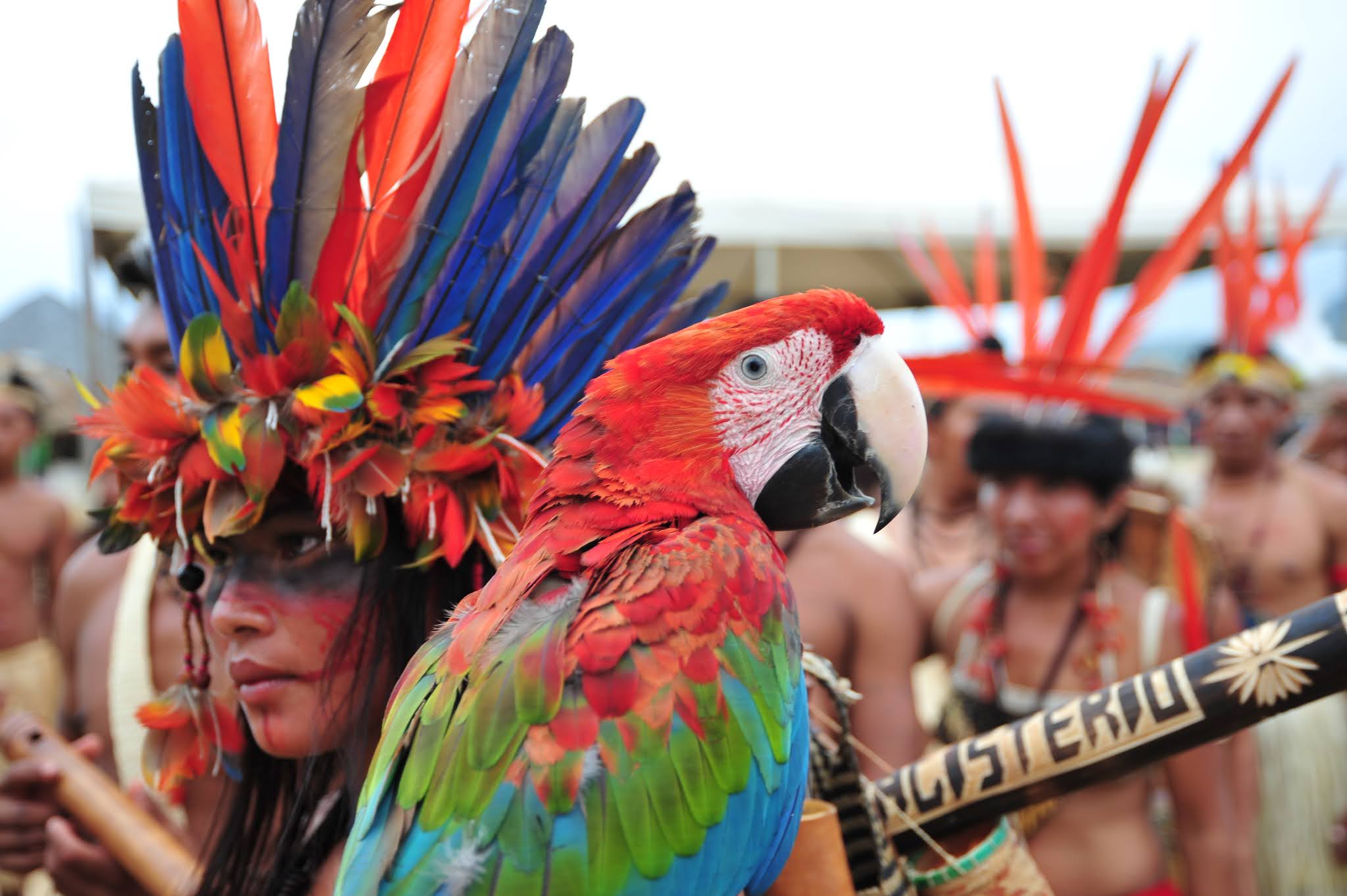 Conheça a fundo os fatos históricos que deram origem a Roraima