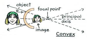 The World of Waves: Reflecting on Reflection