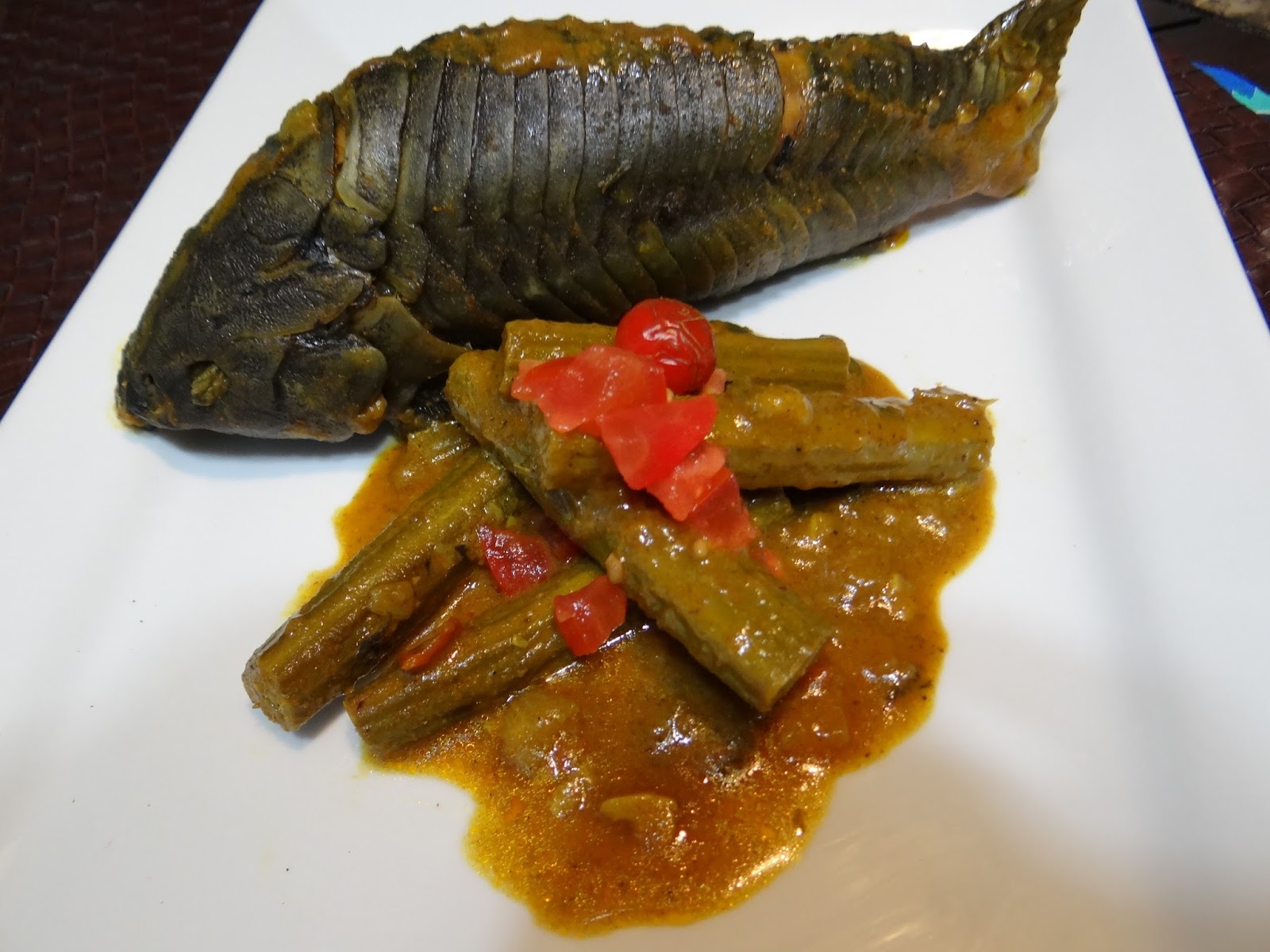 Armored Catfish Hassa