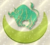 Guide to Moon in Taurus Man and Woman - Forest for Women