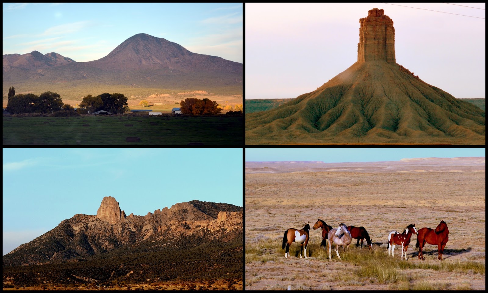 Mille Fiori Favoriti: The Four Corners in the Navajo Nation