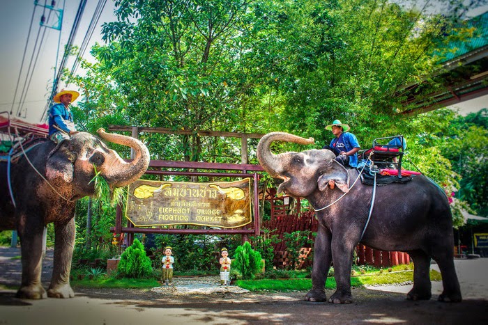 ELEPHANT VILLAGE ~ THAILAND PRIVATE TRIP