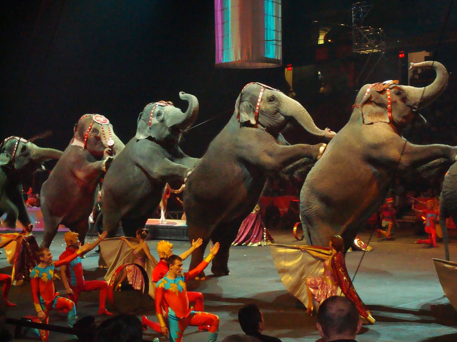 PHOTO KA SABSE BADA COLLECTION: INDIAN CIRCUS PHOTOS