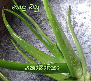 Hela osu: කෝමාරිකා (komarika)