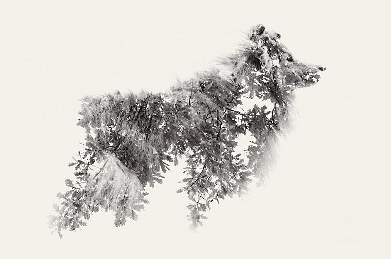 El Hurgador [Arte en la Red]: Christoffer Relander [Fotografía]