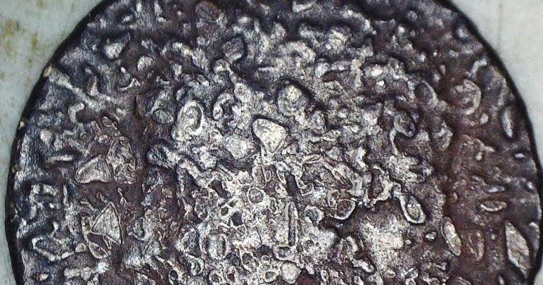 The Treasure Beaches Report Direct From Florida's Treasure Coast.: 7/22 ...