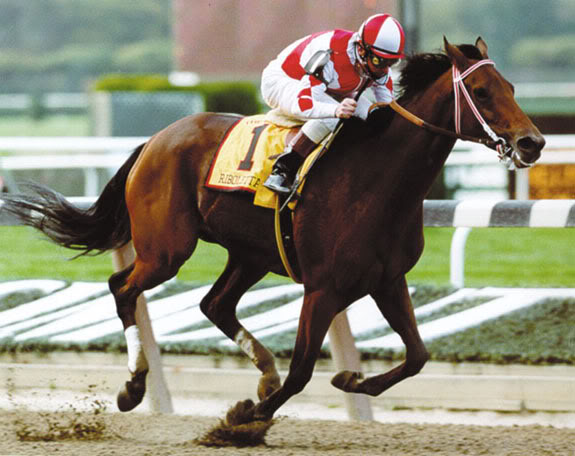 Top 31 Amazing And Dashing Horse Racing Wallpapers In HD