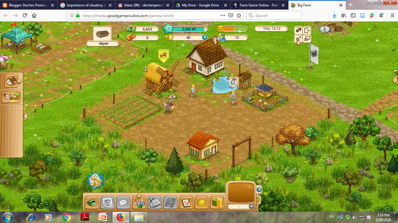 Dechen Pemo's Journal